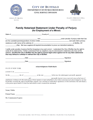 Fillable Online ci buffalo ny Family Notarized Statement Under Penalty ...