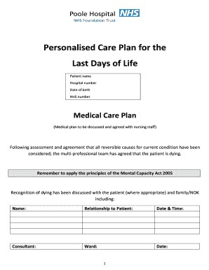 Fillable Online Personalised Care Plan for the Fax Email Print - pdfFiller