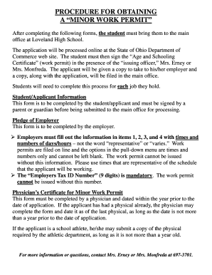 Fillable Online A MINOR WORK PERMIT Fax Email Print - pdfFiller