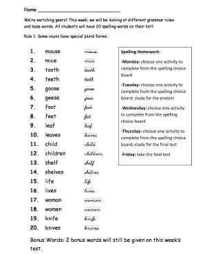 Fillable Online painesville-city k12 oh Spelling Pattern- irregular ...