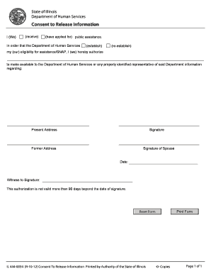 Fillable Online dhs state il I (We) Fax Email Print - pdfFiller