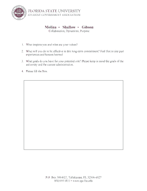 Fillable Online sga fsu SGA Application.docx Fax Email Print - pdfFiller