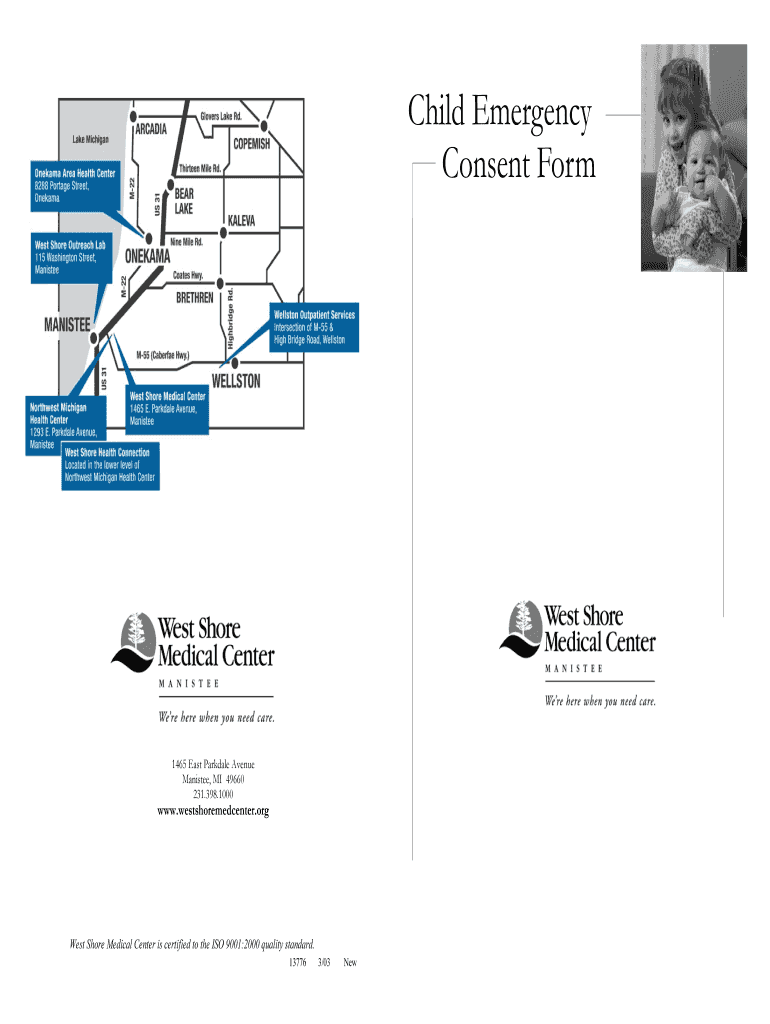 Fillable Online munsonhealthcare Child Emergency Care Consent form ...