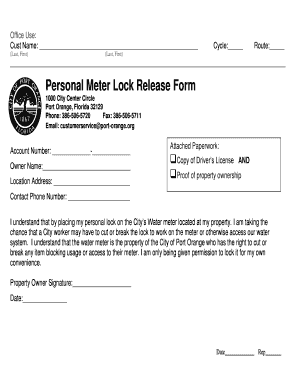 Fillable Online Personal Meter Lock Release Form - Port Orange Florida ...