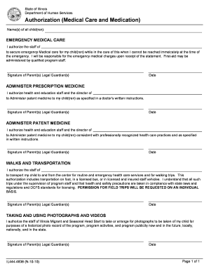 Fillable Online dhs state il Authorization (Medical Care and Medication ...