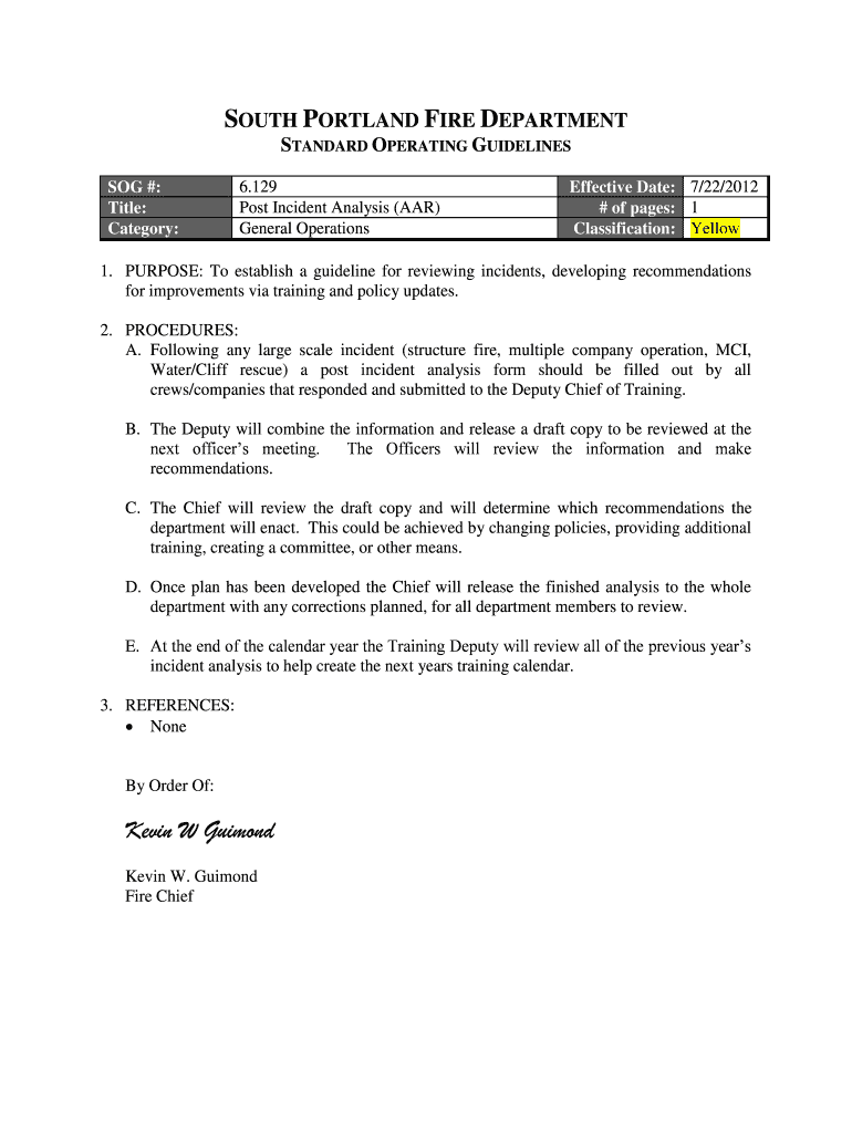 Fillable Online Post Incident Analysis (AAR) Fax Email Print - pdfFiller