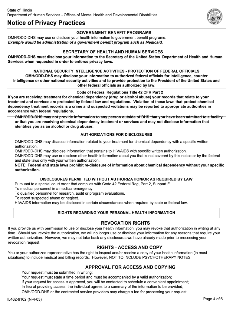Fillable Online dhs state il Department of Human Services Offices of ...