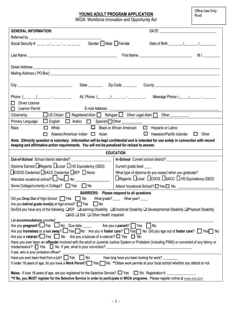 Fillable Online co livingston state ny Office Use Only- YOUNG ADULT PROGRAM APPLICATION Rcvd ...