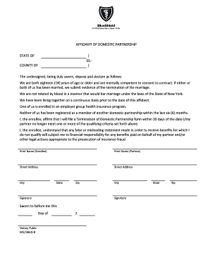 Fillable Online AFFIDAVIT OF DOMESTIC PARTNERSHIP COUNTY OF Fax Email ...