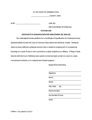 Fillable Online CQE Form A Petition for CQE (cover sheet).pdf ...