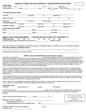 Fillable Online co hernando fl HI C REG FORM 1 .pdf - Hernando County ...