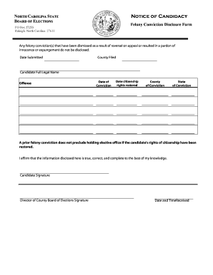 2009 Candidate Felony Disclosure - Stanly County Elections - Fill and ...