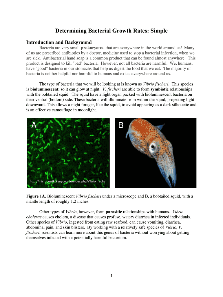 Bacterial Growth Rates Data Sheet: Fill out & sign online | DocHub