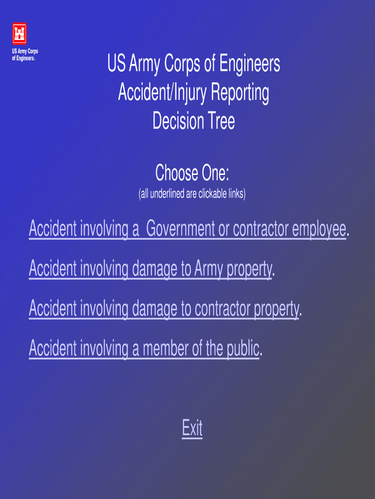 Accident Injury Reporting: Fill out & sign online | DocHub
