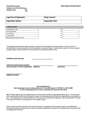 Fillable Online Small Bingo Financial Report Fax Email Print - pdfFiller