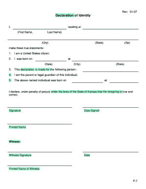 Fillable Online P7 Rev Fax Email Print - pdfFiller