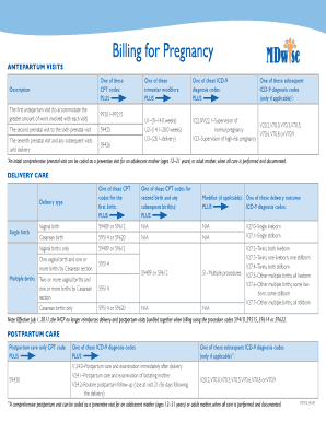 Fillable Online Billing for Pregnancy Fax Email Print - pdfFiller