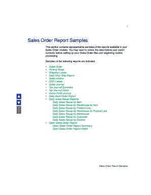 Fillable Online Sales Order Report Samples ...