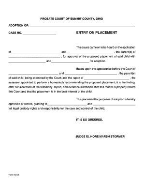 Fillable Online PROBATE COURT OF SUMMIT COUNTY OHIO ADOPTION OF Fax Email Print - pdfFiller