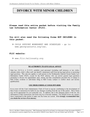 Fillable Online Northeastern Judicial Circuit Pro Se Packet Divorce ...