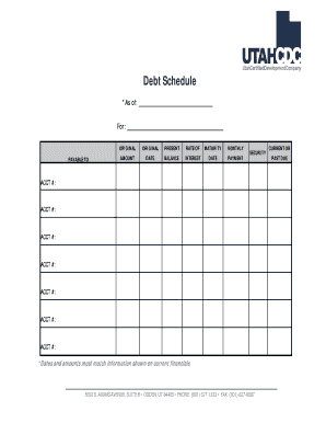 Fillable Online Debt Schedule Fax Email Print - pdfFiller