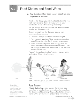 Fillable Online chatt hdsb Food Chains and Food Webs - Halton District ...