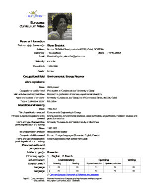 Fillable Online Europass Curriculum Vitae - stimugalro Fax Email Print ...