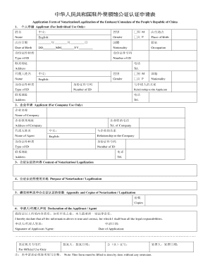 Fillable Online capetown china-consulate Application Form of ...