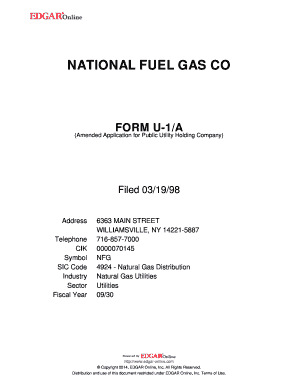 Fillable Online NATIONAL FUEL GAS CO. FORM U-1/A (Amended Application ...