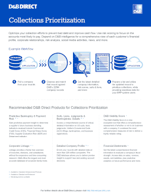 Fillable Online Collections Prioritization - DB Direct API Fax Email ...
