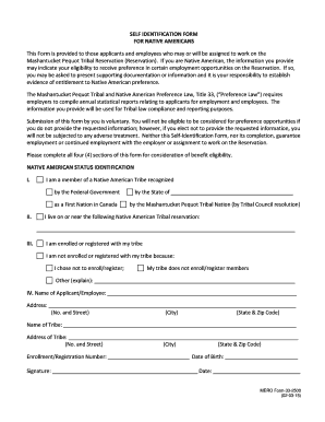 Fillable Online SELF IDENTIFICATION FORM FOR NATIVE AMERICANS Fax Email ...