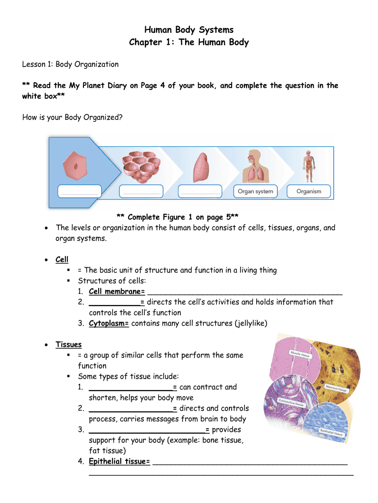 Fillable Online as253 k12 sd Human Body Systems Chapter 1 The Human ...