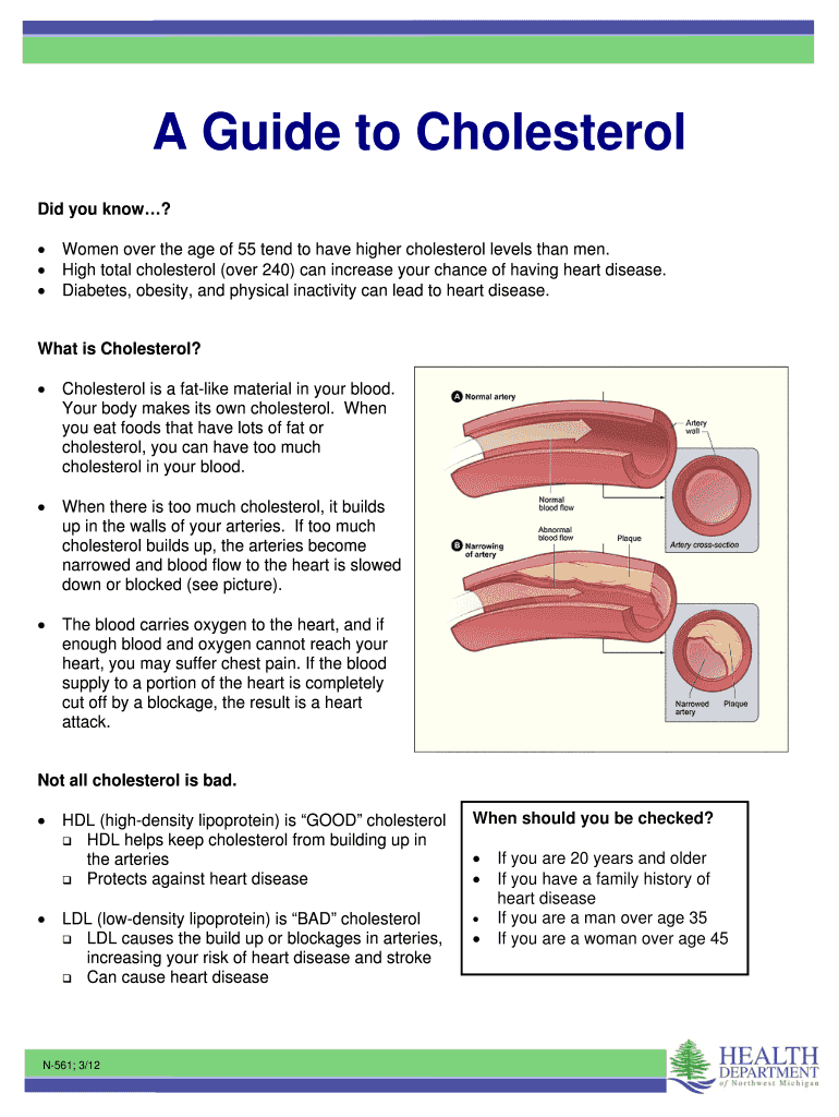 Fillable Online A Guide to Cholesterol Fax Email Print - pdfFiller