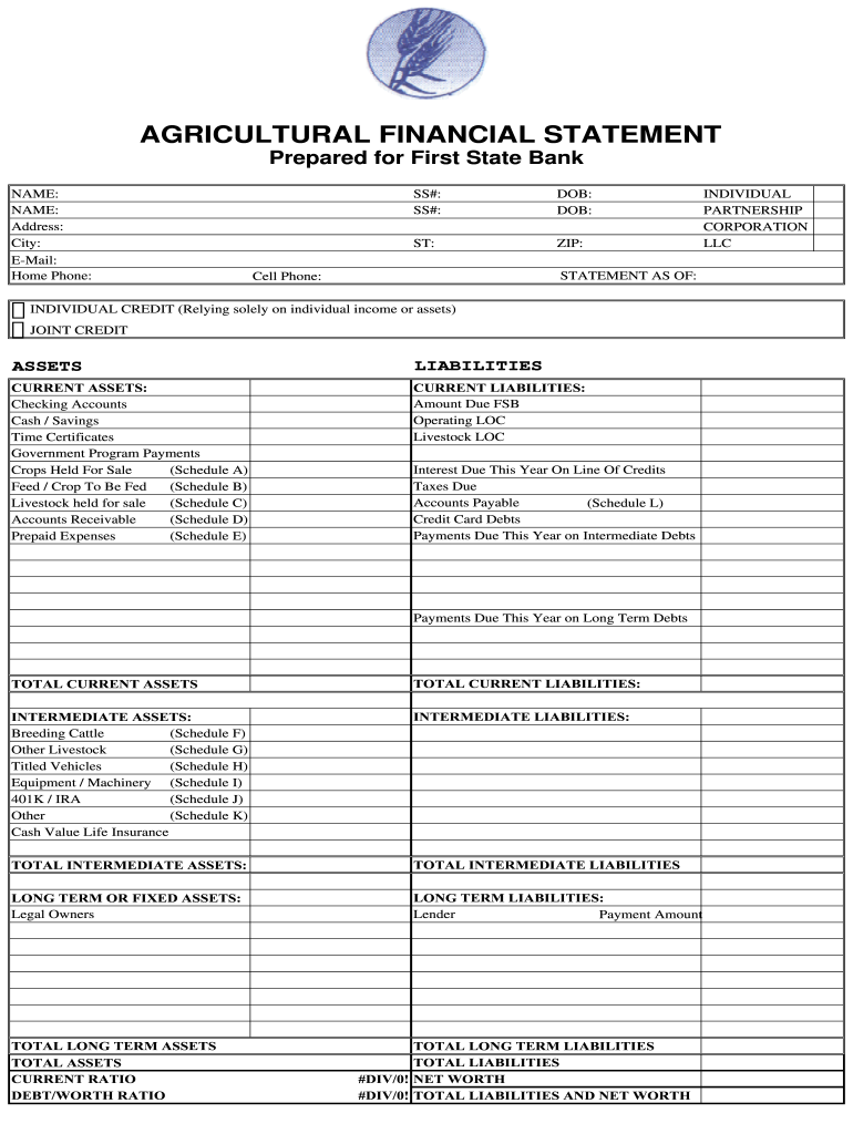 Farm Credit Balance Sheet Template