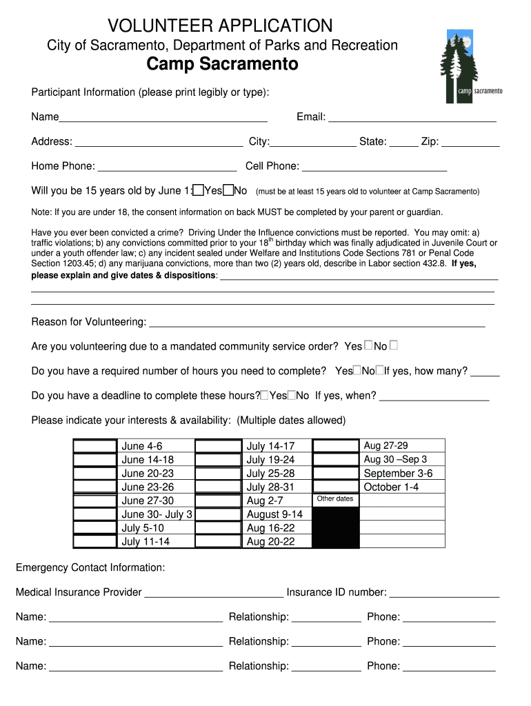 Volunteer Application: Fill out & sign online | DocHub