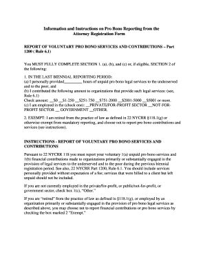 Fillable Online nycourts Information and Instructions on Pro Bono ...