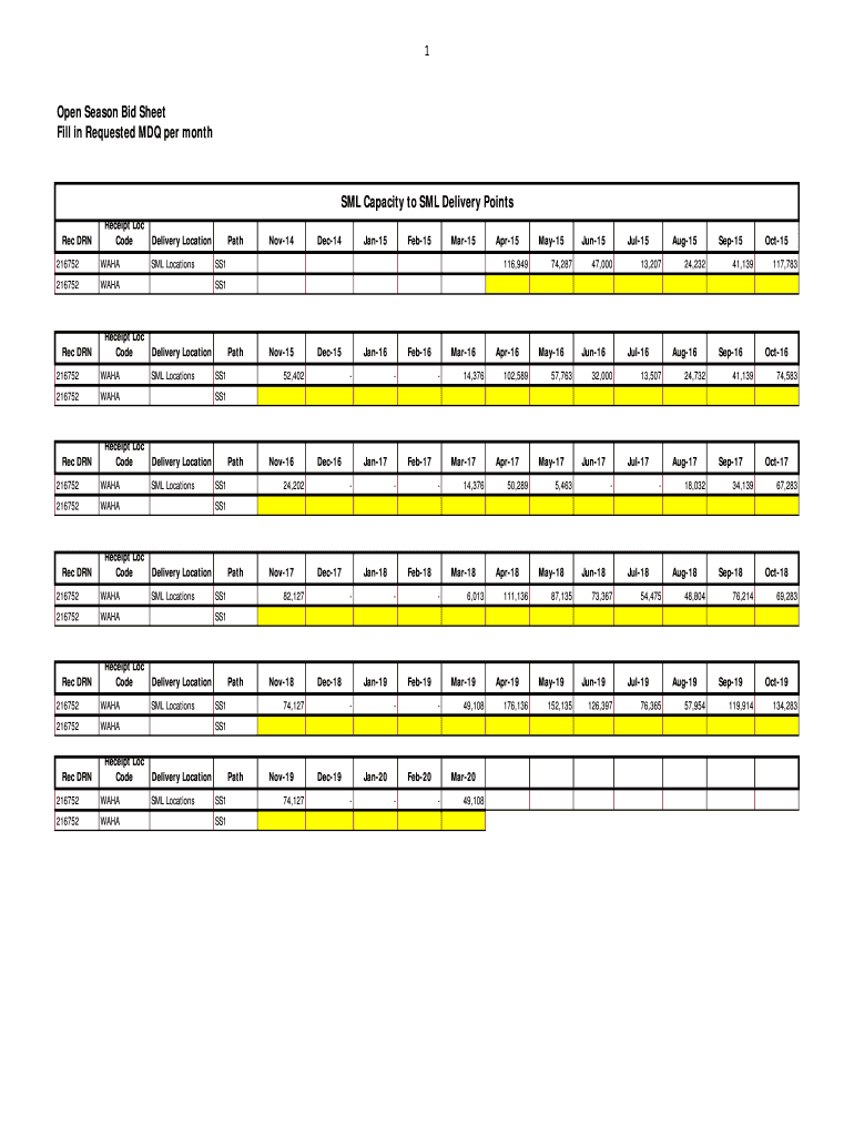 Fillable Online Open Season Bid Sheet Fill in Requested MDQ per month ...