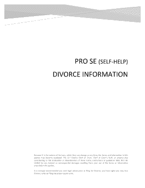 Fillable Online PRO SE (SELFHELP) DIVORCE INFORMATION Because it is the ...