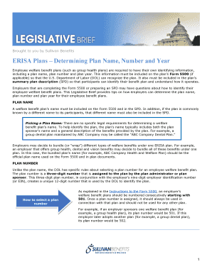 Fillable Online ERISA PlansDetermining Plan Name Number- Sullivan ...