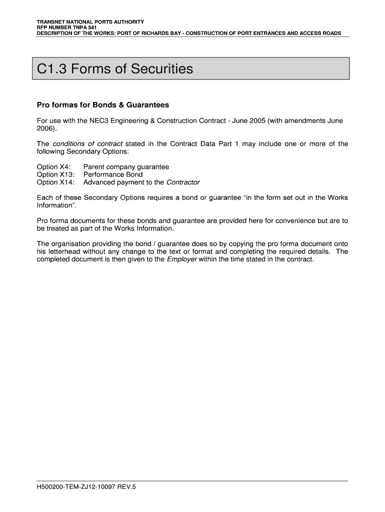 Fillable Online C13 Forms of Securities - Transnet National Ports ...