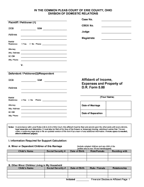 Fillable Online Affidavit of Income Expenses and Property of DR Form 5 ...