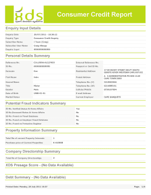 Fillable Online Consumer Credit Report - i-TEAM Fax Email Print - pdfFiller