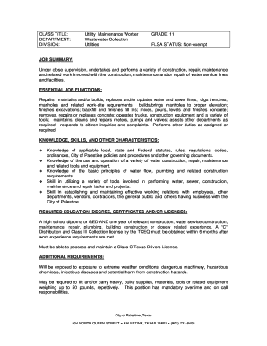 Fillable Online JOB SUMMARY ESSENTIAL JOB FUNCTIONS KNOWLEDGE SKILLS ...