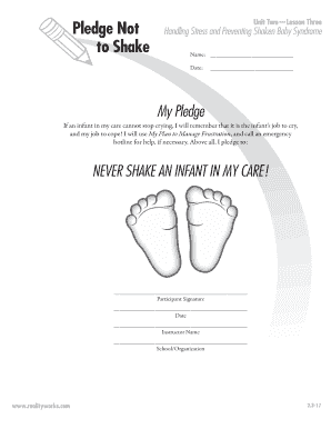 Fillable Online Pledge Not Handling Stress and Preventing Shaken Baby ...
