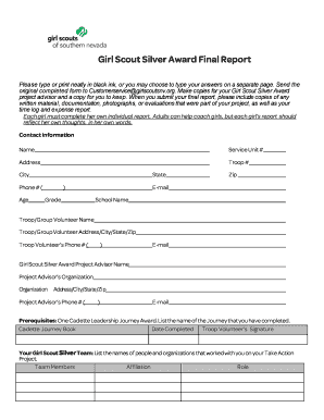 Fillable Online 6528 Bronze Award Final Report Fax Email Print - pdfFiller