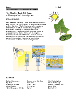 The Floating Leaf Disk Assay A Photosynthesis Investigation - Pennsbury ...