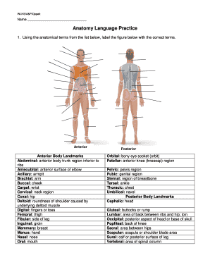 Fillable Online wlhs wlwv k12 or HANDOUT - Anatomy Language Practice ...