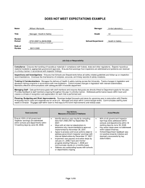 Fillable Online DOES NOT MEET EXPECTATIONS EXAMPLE Fax Email Print ...