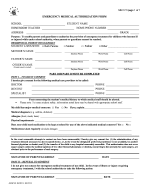 Fillable Online EMERGENCY MEDICAL AUTHORIZATION FORM - bhudsonk12ohusb ...
