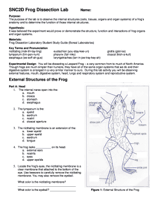 Fillable Online SNC2D Frog Dissection Lab Name - bclassnetwcdsbcab Fax Email Print - pdfFiller